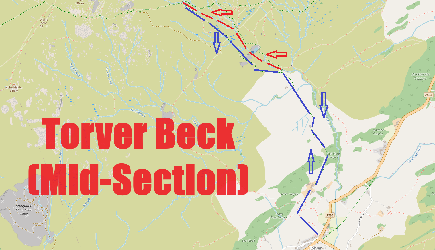 Torver Beck – The Grade 1 Scrambler