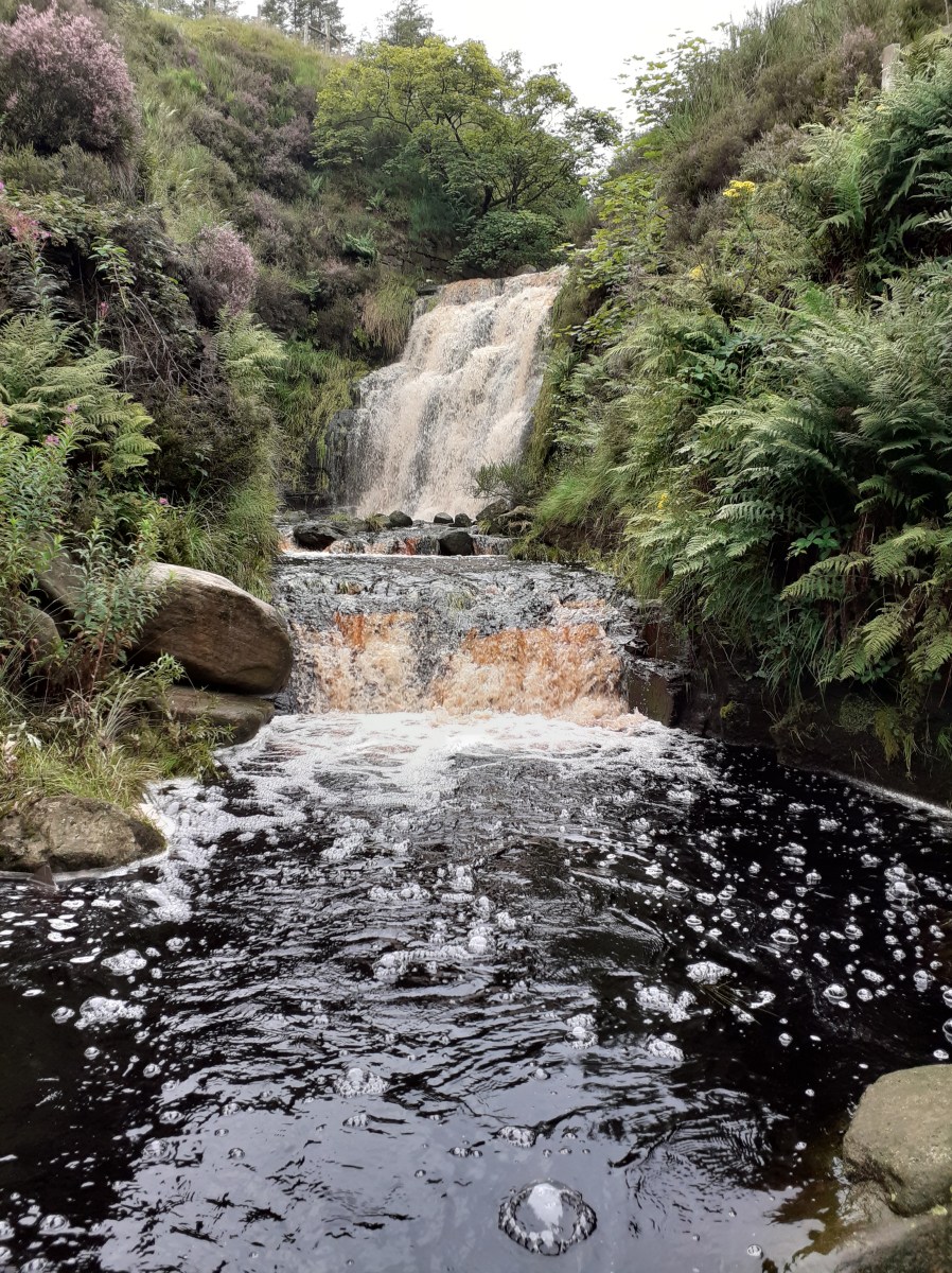 Diggle Brook – The Grade 1 Scrambler