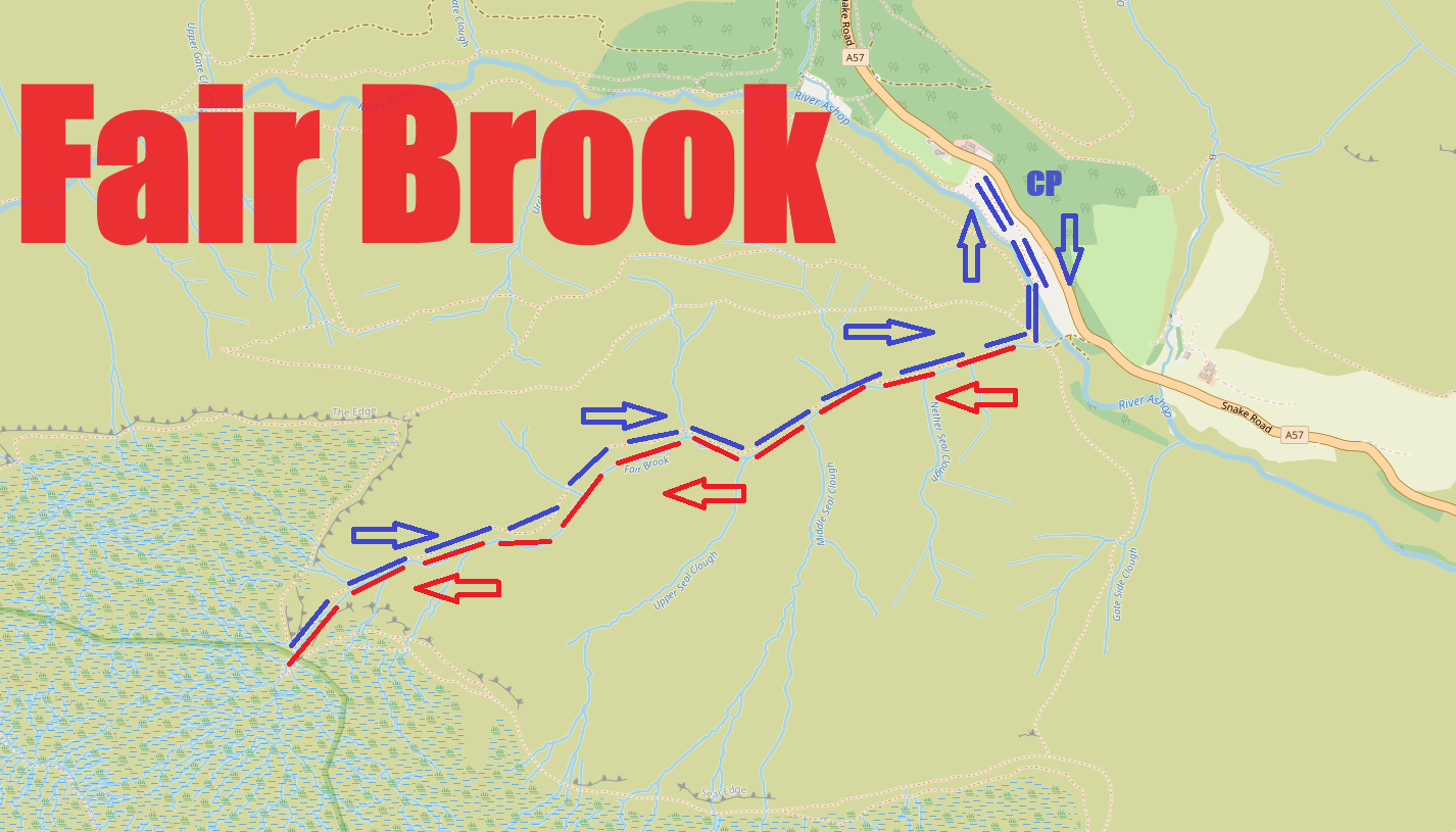 Fair Brook – The Grade 1 Scrambler